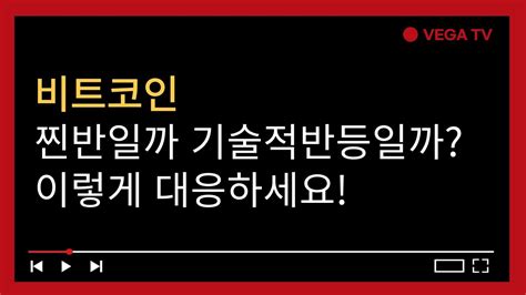 비트코인 찐반일까 기술적 반등일까 대응전략220825 Youtube