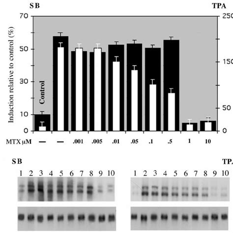 A Mtx Dose Response Curve On Orf50rta Mrna Levels In Bc 3 Cells Download Scientific Diagram