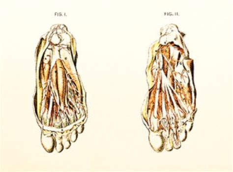 The Effects Of Polyneuropathy Blog
