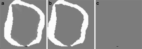 A Image Resulting From The First Application Of PCA For The Images Of Download Scientific