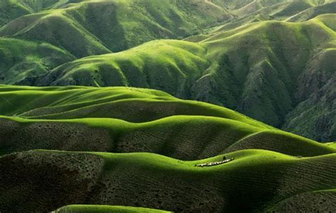 Zdhc Releases Zdhc Cms Framework Fibre2fashion