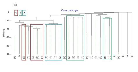 Darwin Mounds Cluster Dendrograms The Raw Dendrogram A Shows The Red