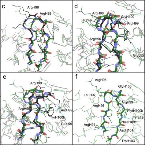 Pdf Revisiting Antibody Modeling Assessment For Cdr H3 Loop