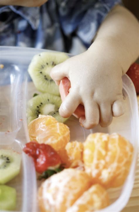 Complementary Feeding Approaches A Review Of The Benefits And Risks — Healthly Institute