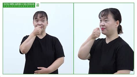 🤗아기수어 오늘의 수어곰농인 영유아를 위한 특별한 한국수어 아기수어 프로젝트 베이비싸인 수어배우기 Youtube