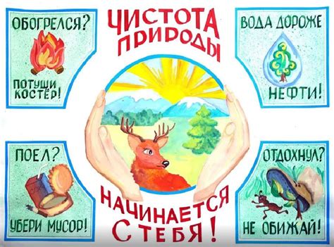 Плакат на тему сохраним природу (48 фото)
