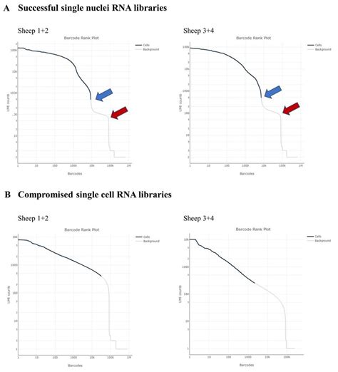 Comparison Of Barcode Rank Plots From A Successful Single Nuclei