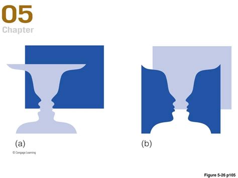Ppt Chapter 5 Perceiving Objects And Scenes Powerpoint Presentation Id6092629