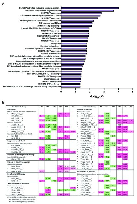 Reactome Enrichment Of Correlation Analysis For Phospho Datasets A Download Scientific