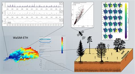 Multidimensional Hydrological Modeling Of A Forested Catchment In A