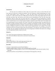 Laboratory Exercise The Stem Docx Laboratory Exercise The Stem Introduction All Stems