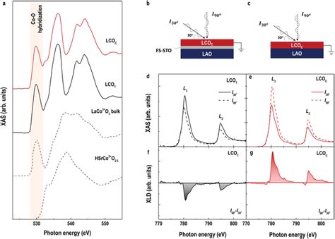 Laterally Separated Spin States In An Lco Hybrid Structure A Xas At O