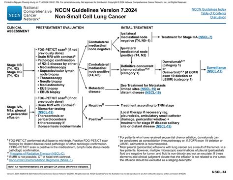 Nccn Clinical Practice Guideline In Oncology Pdf Lung And Respiratory Health Diseases And