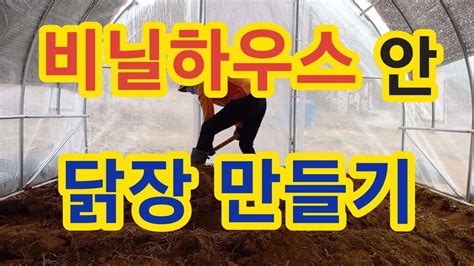 비닐하우스 안에 닭장 만들기 주말농장 닭키우기 Youtube