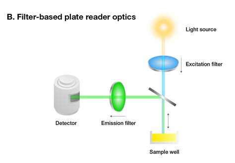 Figure 1 Diagrams Of The Optics In Filter Based And Monochromator Based Plate Readers Life In