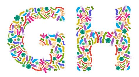 벡터 알파벳 G H 흰색 배경에 고립 된 박테리아 박테리아 글꼴로 만든 벡터 일러스트레이션 0명에 대한 스톡 벡터 아트 및 기타 이미지 Istock