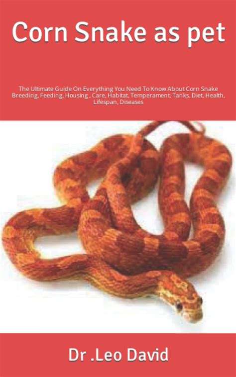 Buy Corn Snake as pet: The Ultimate Guide On Everything You Need To ...