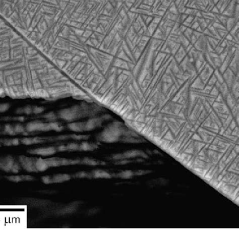 Pdf Formation Of Grain Boundary α In β Ti Alloys Its Role In