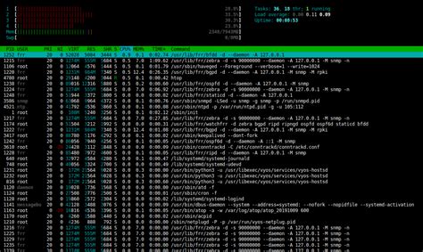 Kernel Memory Leak On VyOS Bugs VyOS Forums