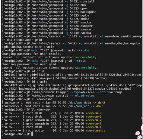Oracle Rac 集群的安装(保姆级教程) Csdn博客 Oracle Rac 集群的安装(保姆级教程) Csdn博客