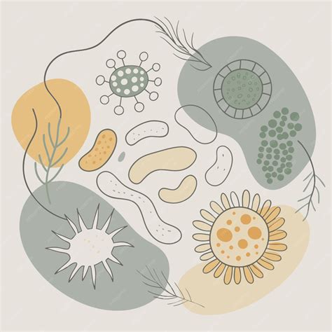 Adaptation An Illustration Showing Microbial Adaptation To Different Environments On White