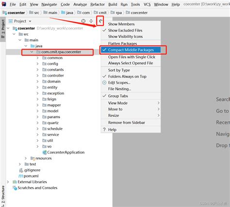 Idea包路径不折叠简单设置 Csdn博客