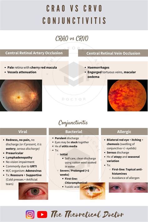 The Anatomy Of An Oct Scan Artofit