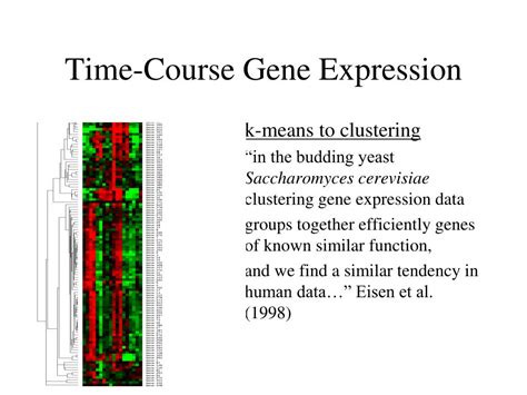 Ppt Introduction To Time Course Gene Expression Data Powerpoint