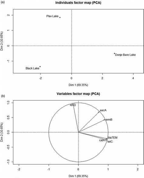Individual Factor Map A And Variables Factor Map B Of Principal