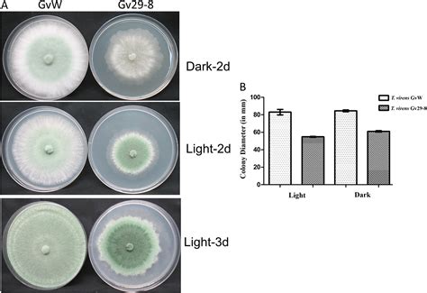 Comparative Phenotypic Genomic And Transcriptomic Analyses Of Two Contrasting Strains Of The