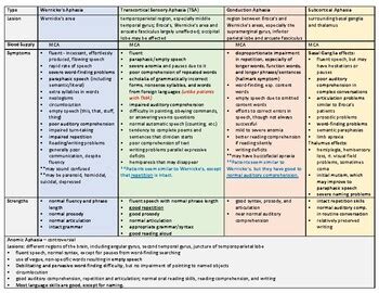 SLP Praxis Aphasia Study Chart By Articulate SLP TpT