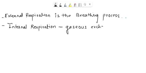 solved what is the difference between external internal and cellular