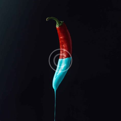 Food Ethics AJ Edden