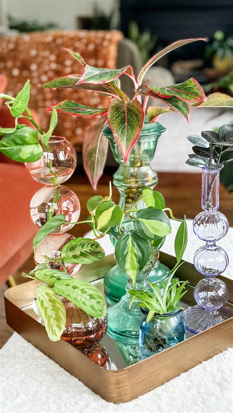 Diy Propagation Station Part 2 Artofit