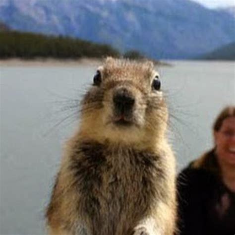 Scott Mcmaster Youtube