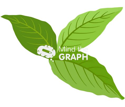 Free Leaf Area Index 1 Icons Symbols Pictures And Images Mind The Graph