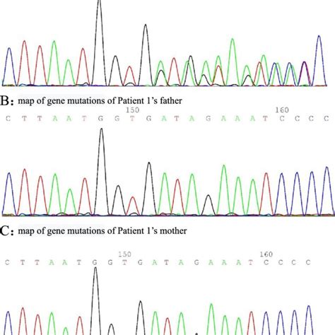 A Map Of Gene Mutations Of Patient 2 B Map Of Gene Mutations Of
