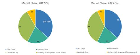 Biochips Market Companies Size Share And Research Analysis