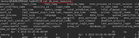 Overview Of Dmv Tool Using Dbfs Fuse With Docker Containers On Linux