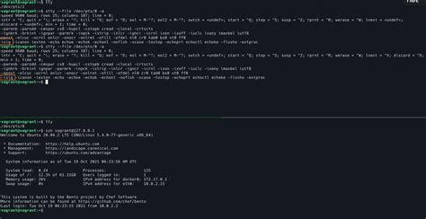 What Exactly Is Tty Sobyte