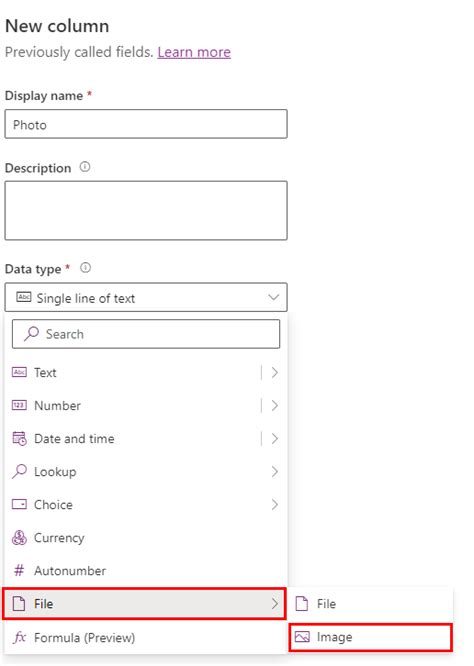 Microsoft Power Apps Portal Pages How To Bringing In Images Into The Portal From Dynamic