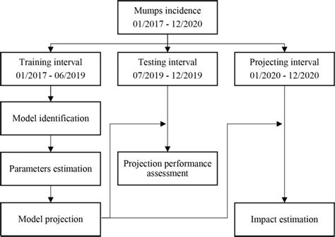 Flowchart On The Modelling Process Download Scientific Diagram