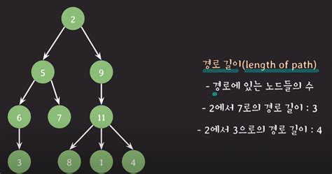 Tree And Binary Tree