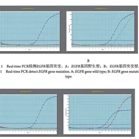 Real Time Pcr Detect Kras Gene Mutation A Kras Gene Wild Type B Download Scientific Diagram