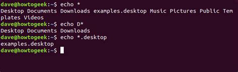 como usar o comando echo no linux tjmbb