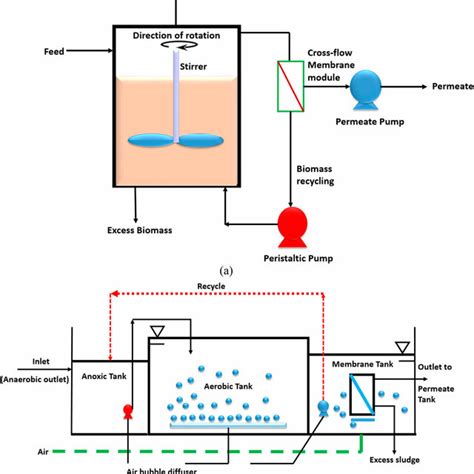 A External Loop Recycle Reactor B Submerged Membrane Reactor [52] Download Scientific