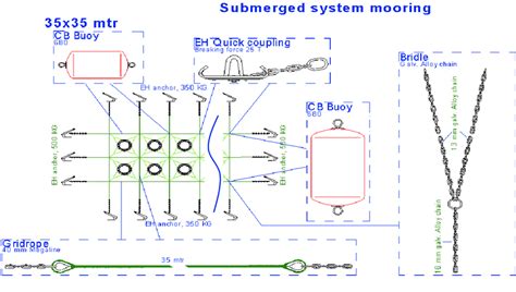 Schematic Example Layout Of Cages And Mooring Design Including Mooring