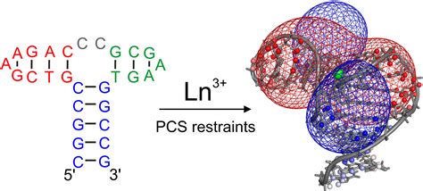 Solution Structure Of A Lanthanide‐binding Dna Aptamer Determined Using