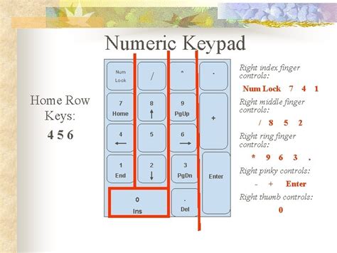 Keyboarding Numeric Keypad Standard 2 02 Execute The
