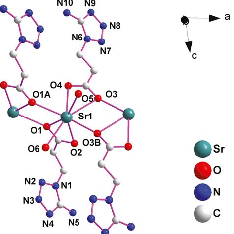 The Coordination Environment Of Sr Ii In 1 Hydrogen Atoms Are Omitted Download Scientific
